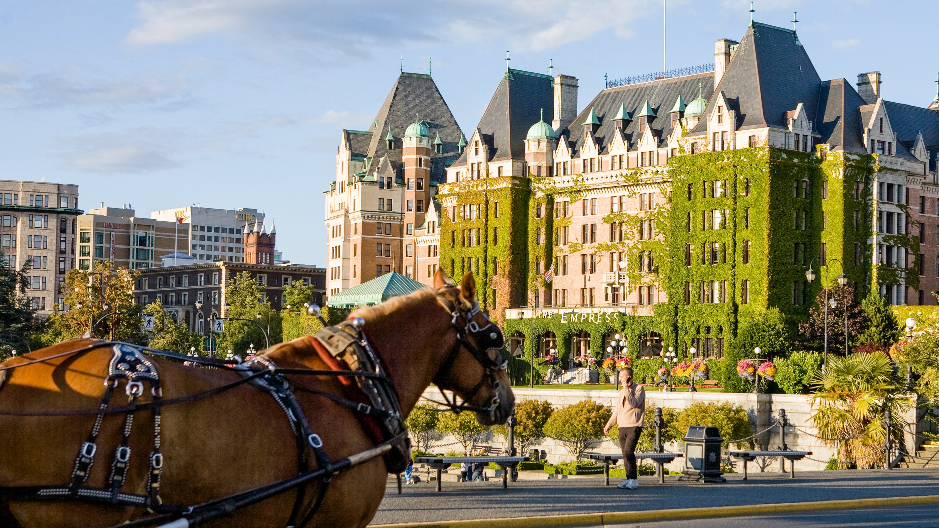 Disney Cruise Line — Pacific Coast | Disney Vacation Club