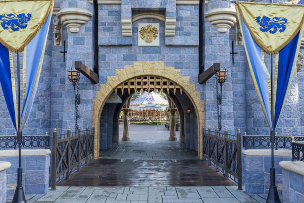Sleeping Beauty Castle At Disneyland Park Reopens With Stunning