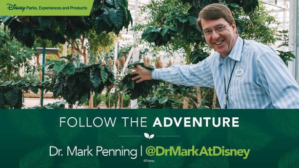 Mark Penning's Instagram, Twitter & Facebook on IDCrawl