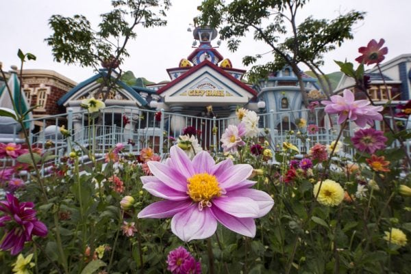 Colors of Spring from Disney Parks All Over the World! | Chip and Company