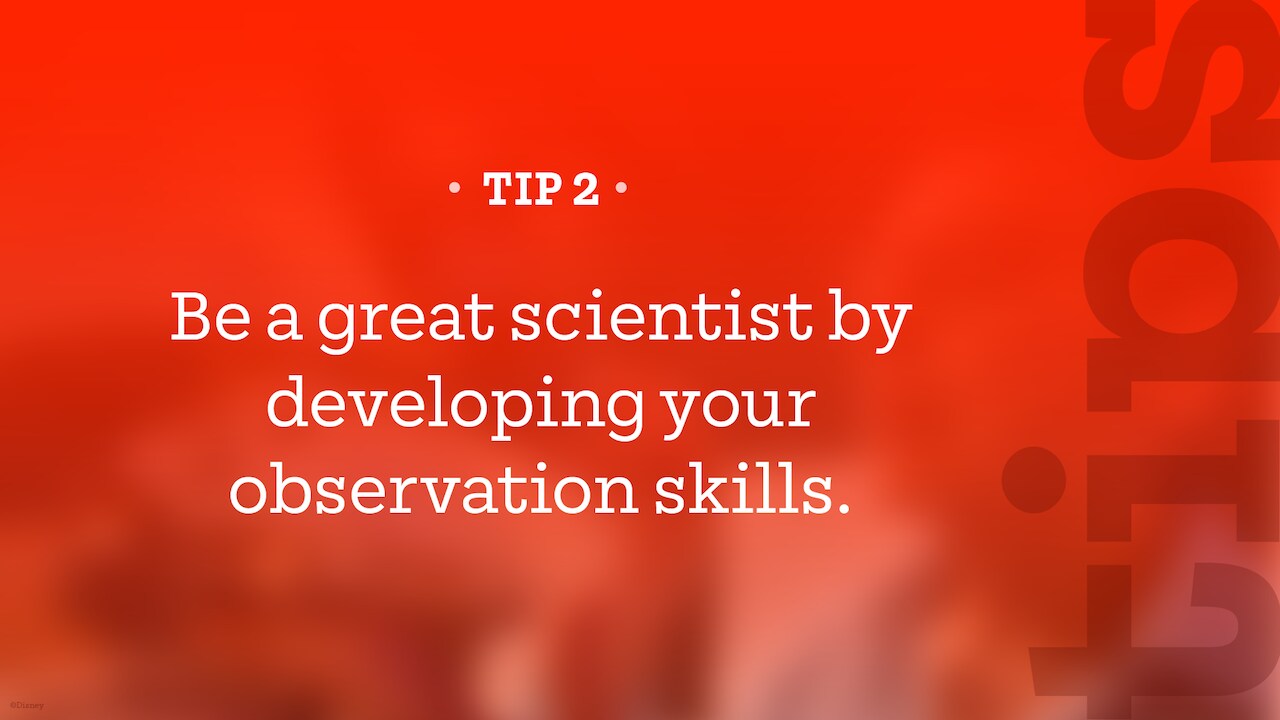 STEAM Tips from Walt Disney Imagineering: Technology, Science and Math ...