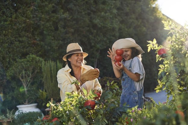 Announcing Storyliving by Disney: New Business to Develop Residential ...