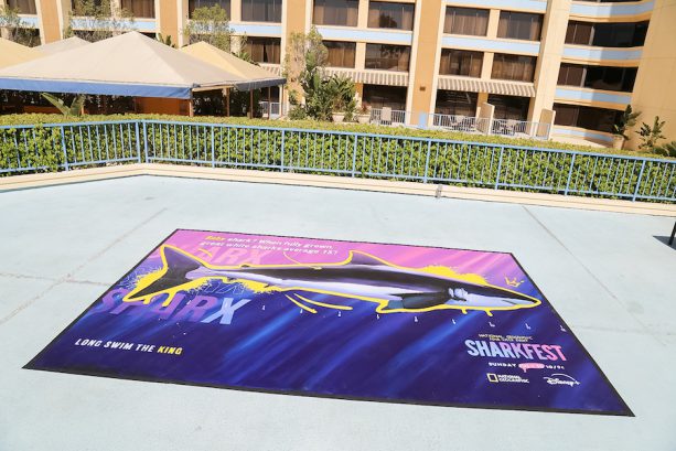 SharkFest at Disney Parks: Limited-Time Fun & Photo Ops