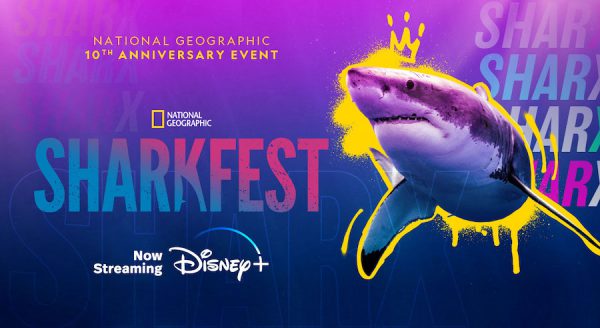 National Geographic’s SharkFest Returns to Disney Parks with Photo Ops ...