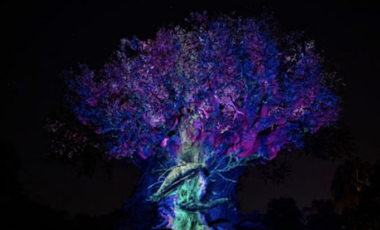 'Avatar: The Way of Water' Tree of Life Projection Show Coming to ...