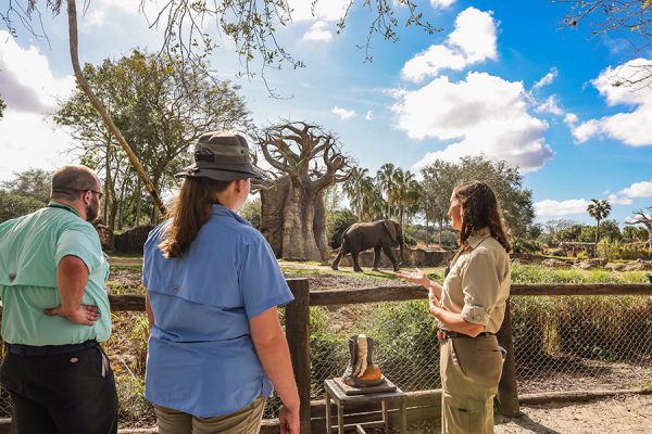 Disney’s Commitment to Conservation Expands with $500,000 Donation to Florida Organizations ...