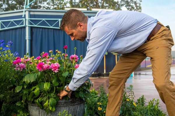 Disney Horticulture Cast Member Achieves Dreams with Aspire ...