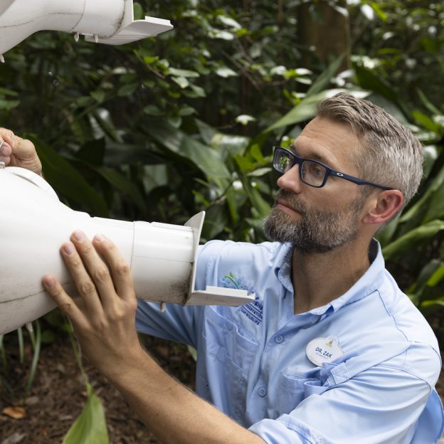 Disney Conservation Manager Expands Conservation Efforts Beyond Animal ...