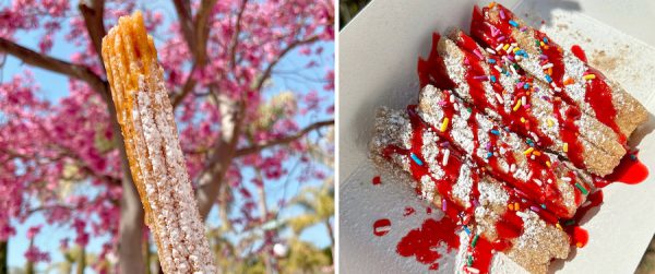 Disney Foodie Guide For National Churro Day 2023 - DVC Shop