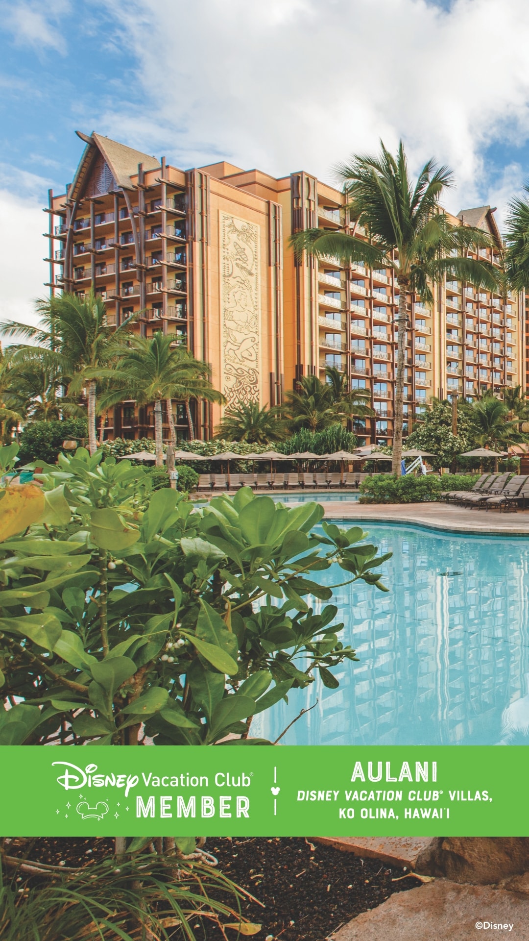 Virtual Backgrounds, Phone Backgrounds & Wallpapers | Disney Vacation Club