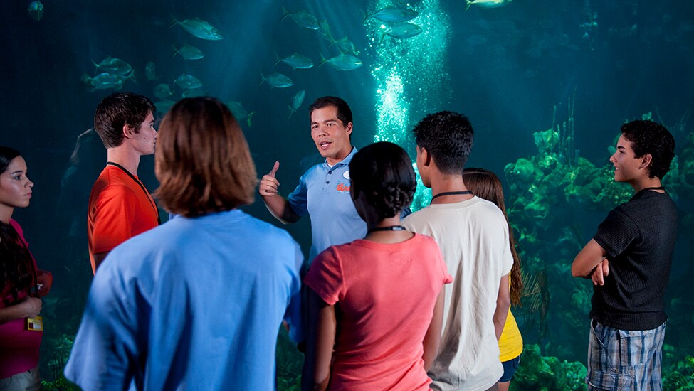 6 Ways Students Can Pledge to Protect Marine Life on World Oceans Day ...