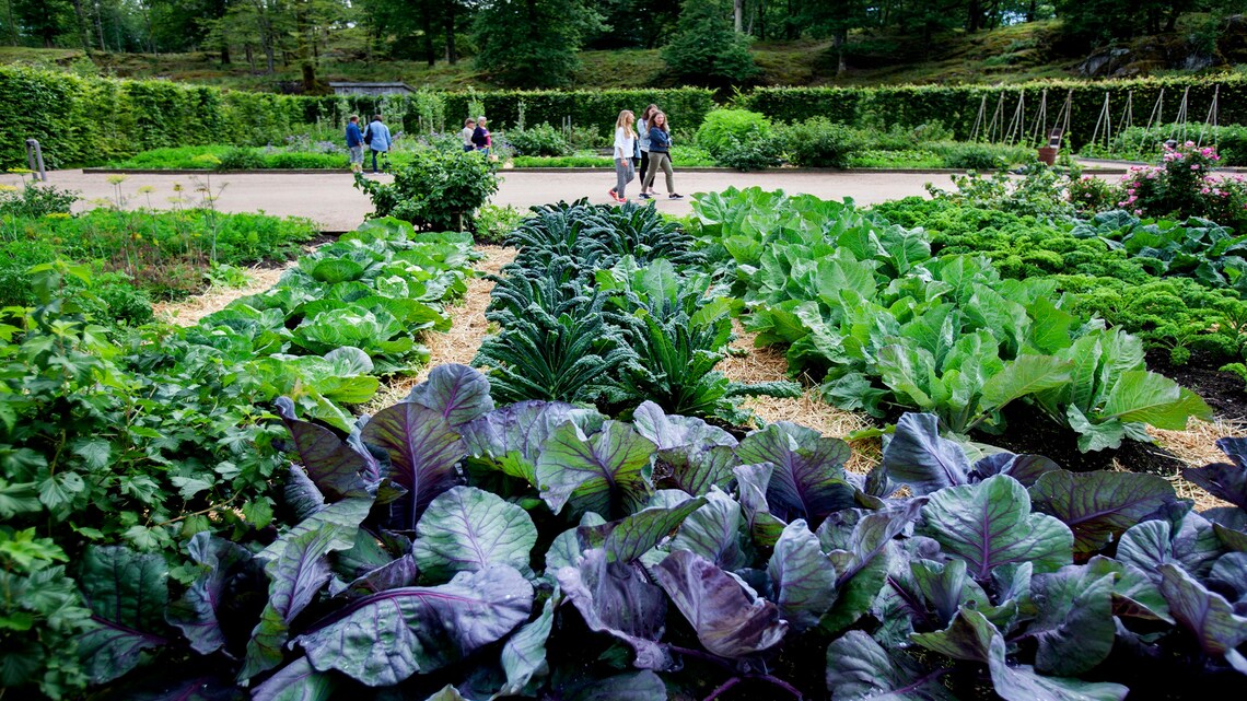 Gunnebo House & Gardens Guided Tour from Gothenburg | Disney Cruise Line