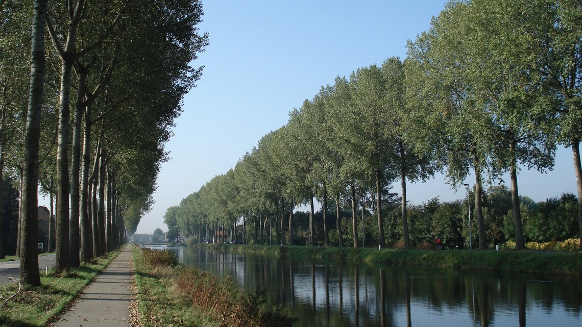 Belgian Countryside Biking | Disney Cruise Line