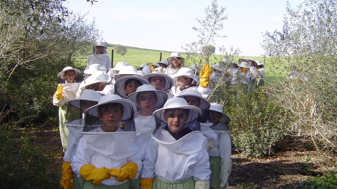 Beekeeper for a Day | Disney Cruise Line