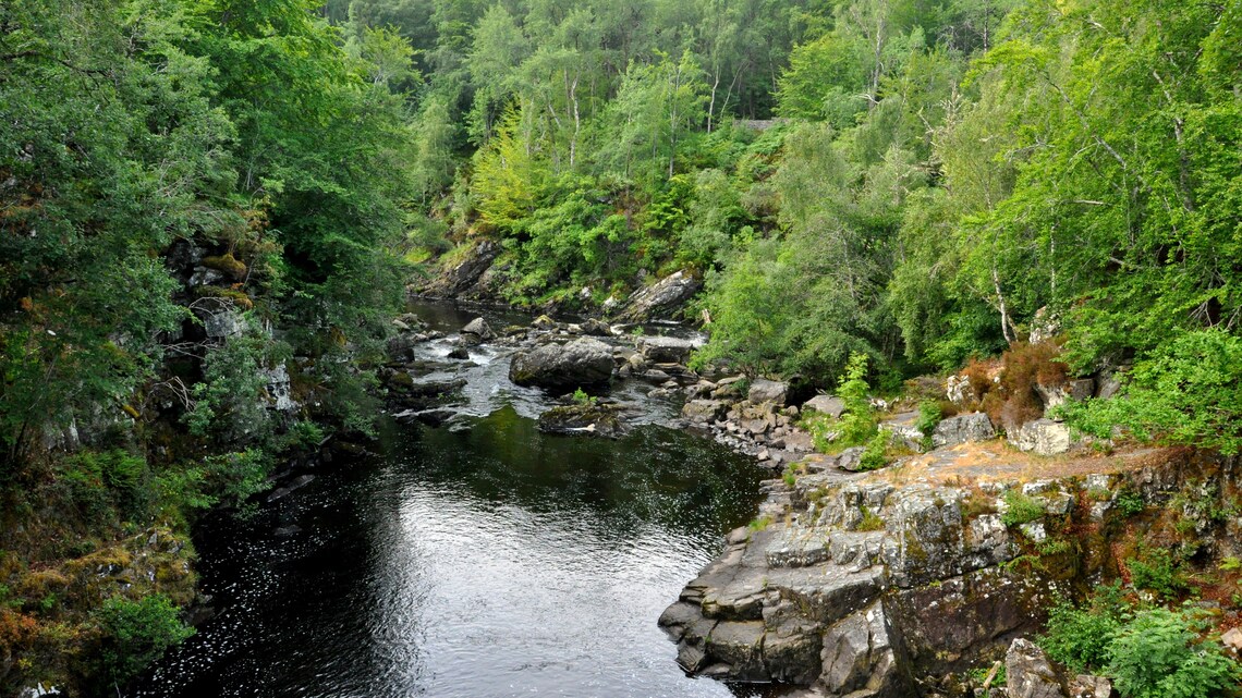 Rogie Falls & Silverbridge Forest Walk | Disney Cruise Line
