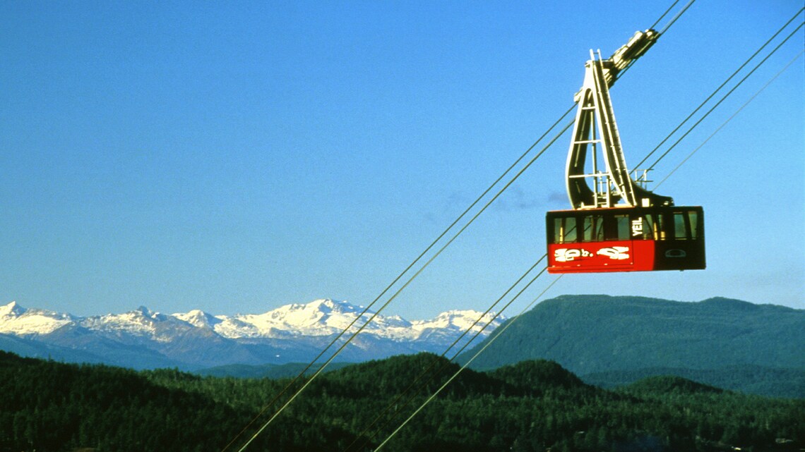 Mendenhall Glacier Explorer and Goldbelt Tram from Juneau | Disney ...