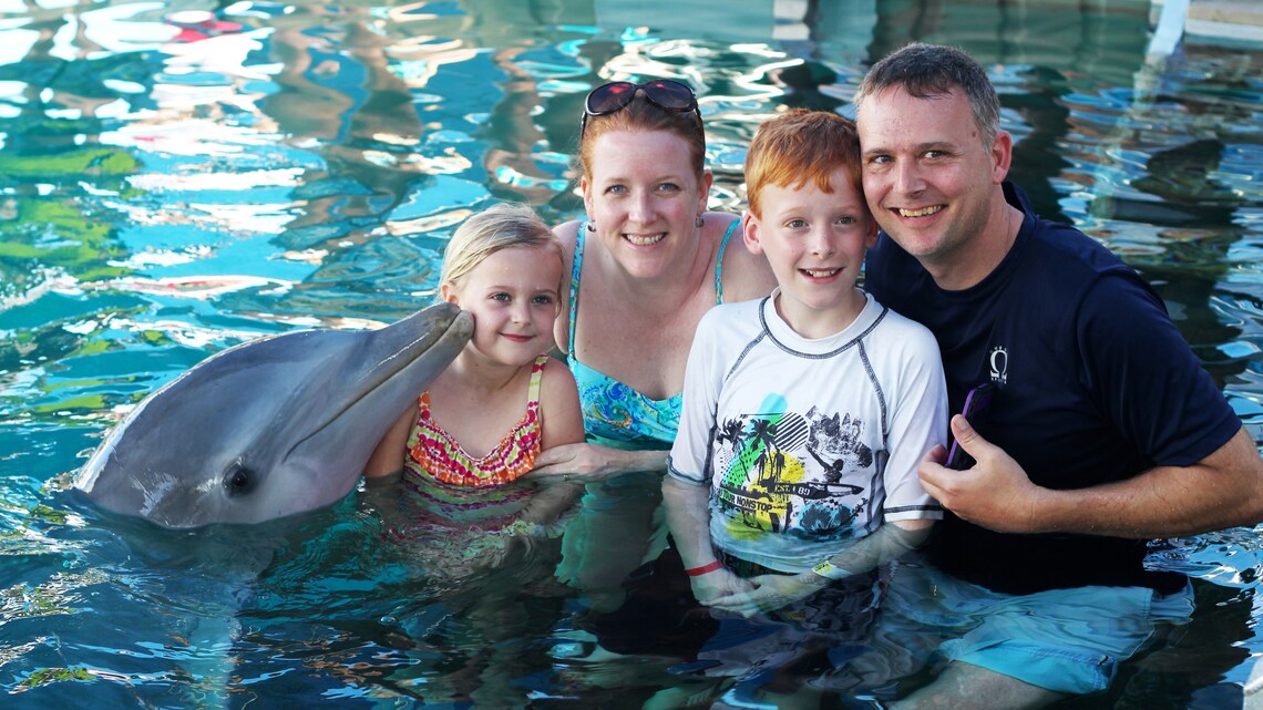 Dolphin Lion Encounter at Blue Lagoon Island | Port Adventures | Disney ...