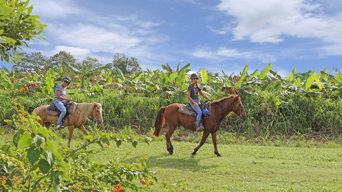 San Juan Horseback Riding Adventure | Disney Cruise Line