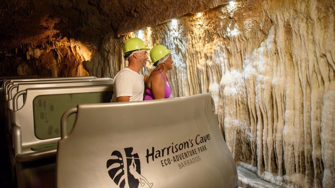 Harrison’s Cave Tour & Savvy on the Bay Beach Visit | Port Adventures ...