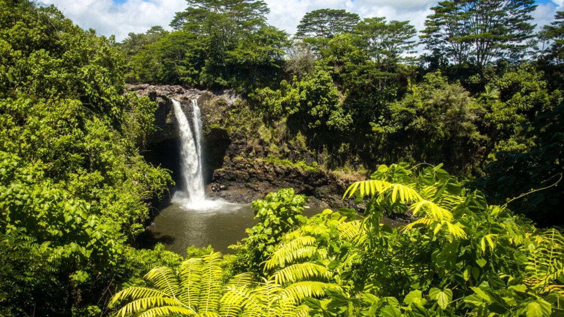 Tour Hawaii's Hamakua Coast | Port Adventures | Disney Cruise Line
