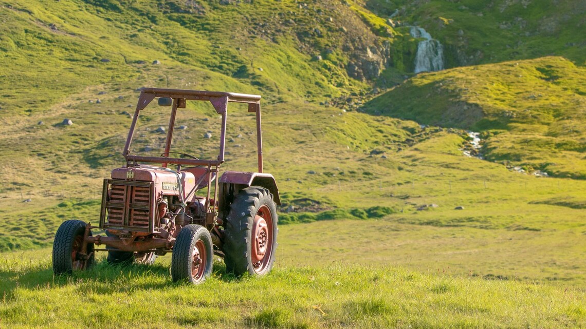 Secluded Valley Life | Disney Cruise Line