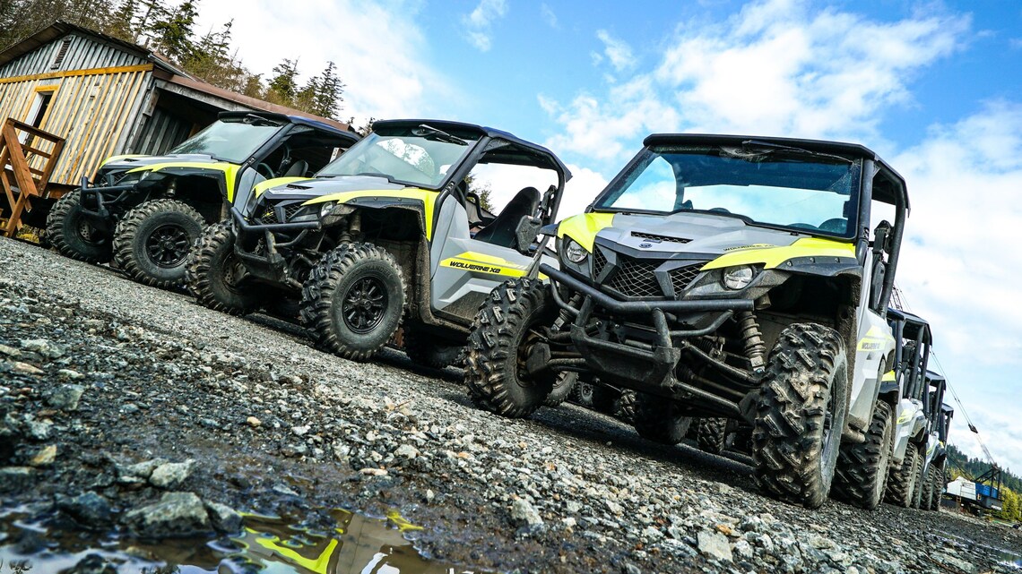 Alaskan Land and Sea Safari Excursion | Disney Cruise Line