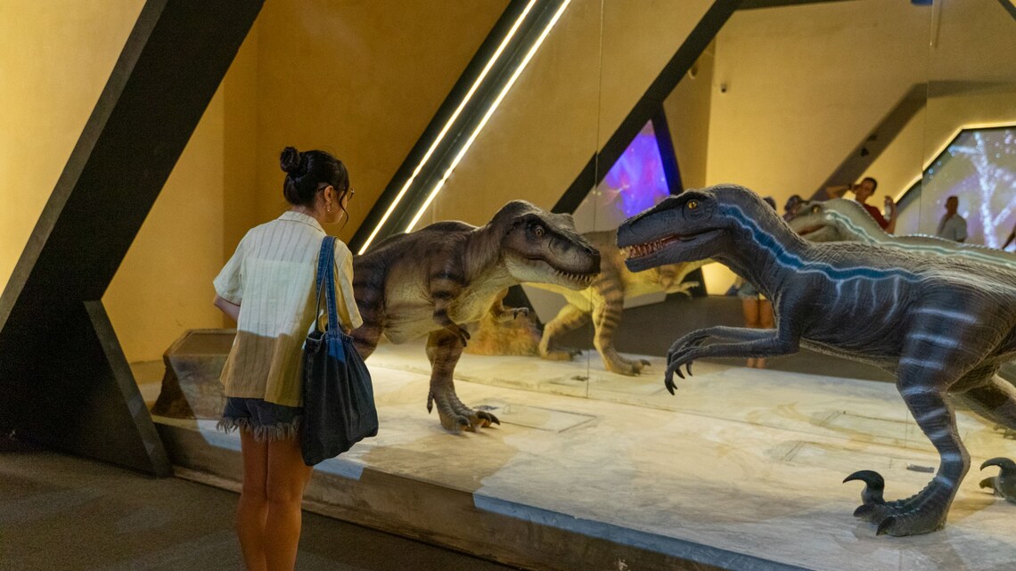 Dinosaur Museum in Yucatan, Mexico | Port Adventures | Disney Cruise Line