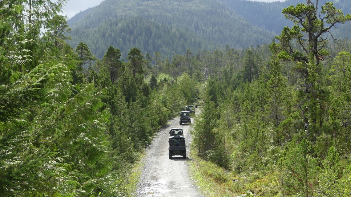 Off-Road UTV Tour with Lunch in Ketchikan | Port Adventures | Disney ...