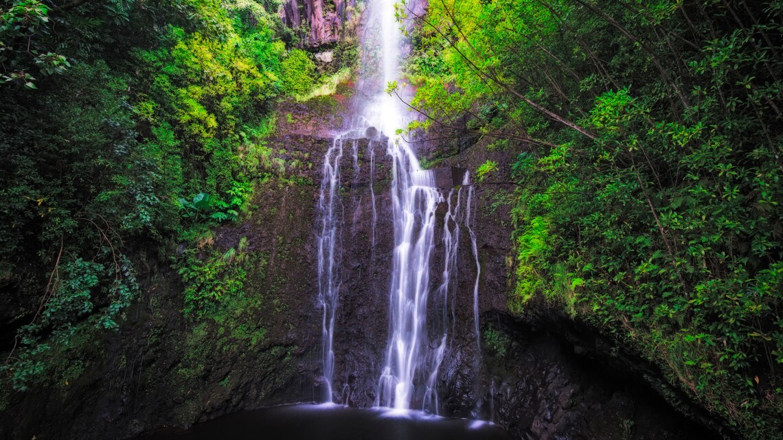 Search for Disney Cruise Line Hawai'i Cruises