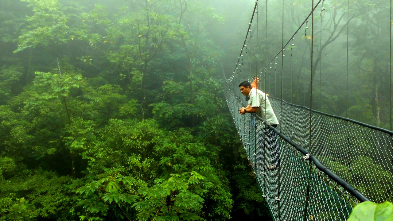 cloud forest walk