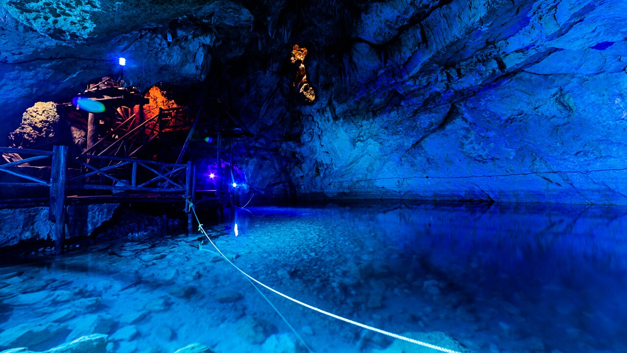 Blue Hole, Cenote and Swim Adventure | Disney Cruise Line