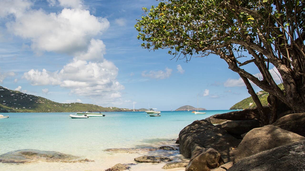 Mountain Top Accessible Scenic Tour & St. Thomas Beach Break | Disney ...
