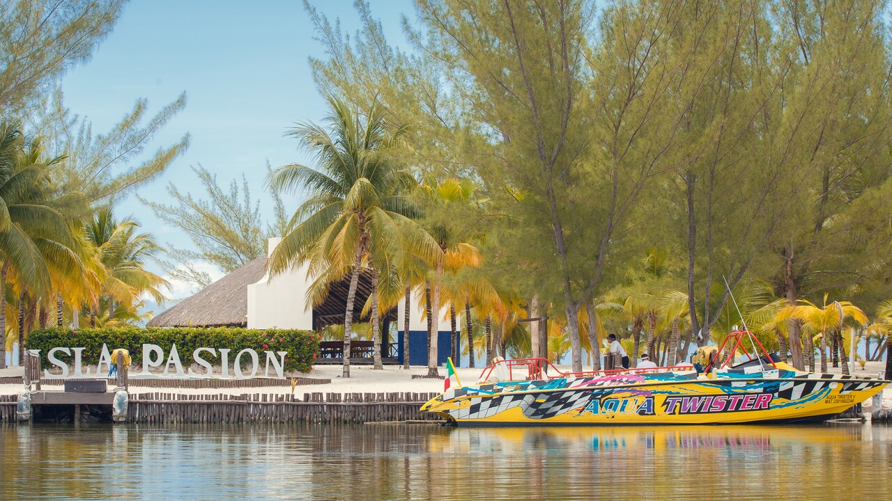 Passion Island by Twister: Speed Boat Adventure | Disney Cruise Line