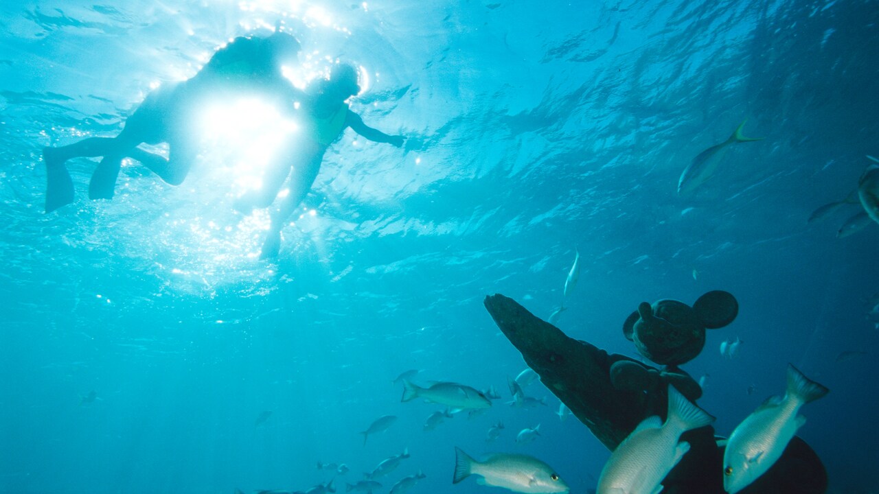 Two-Day Snorkel Equipment Rental at Castaway Cay | Port Adventures ...