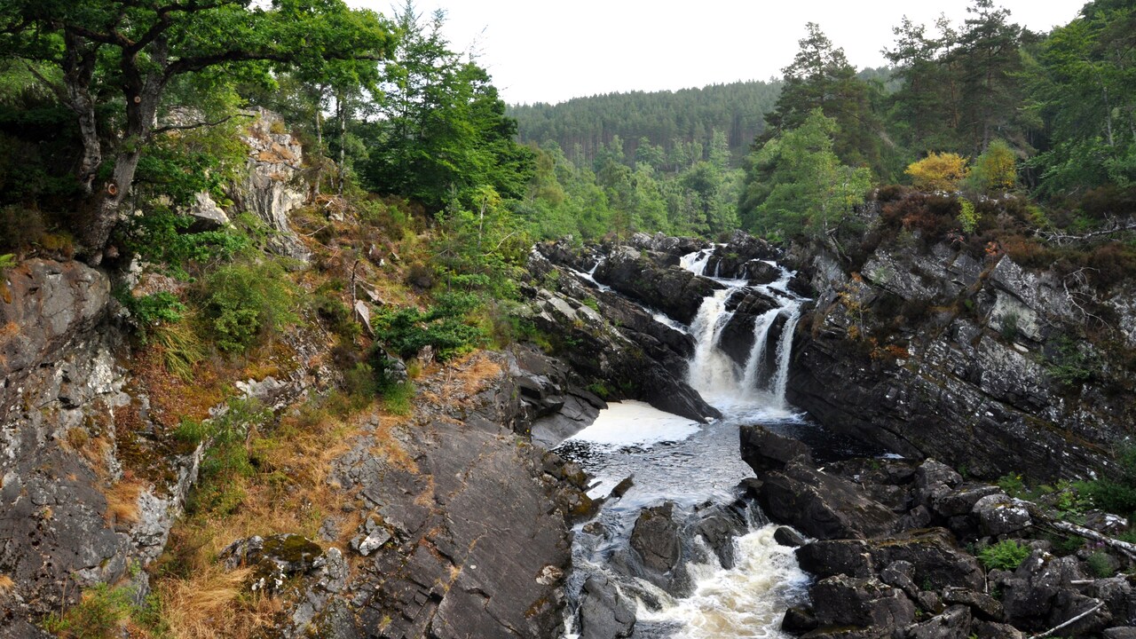 Rogie Falls & Silverbridge Forest Walk | Disney Cruise Line