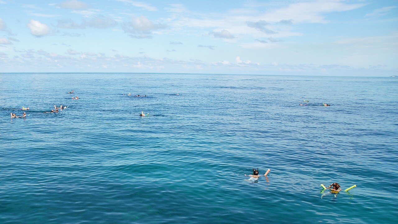 Bermuda Catamaran Adventure & Coral Reef Snorkeling | Disney Cruise Line