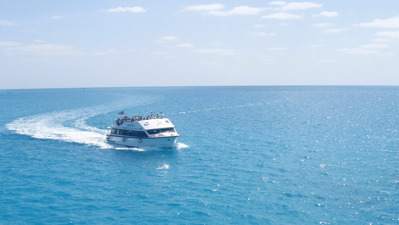Bermuda Triangle Shipwreck Snorkeling | Disney Cruise Line