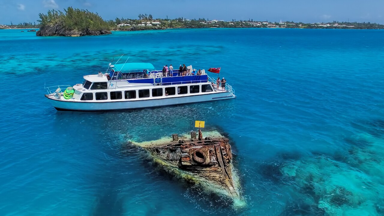 Bermuda Turtle Cove Glass-Bottom Boat Tour & Snorkeling | Disney Cruise ...