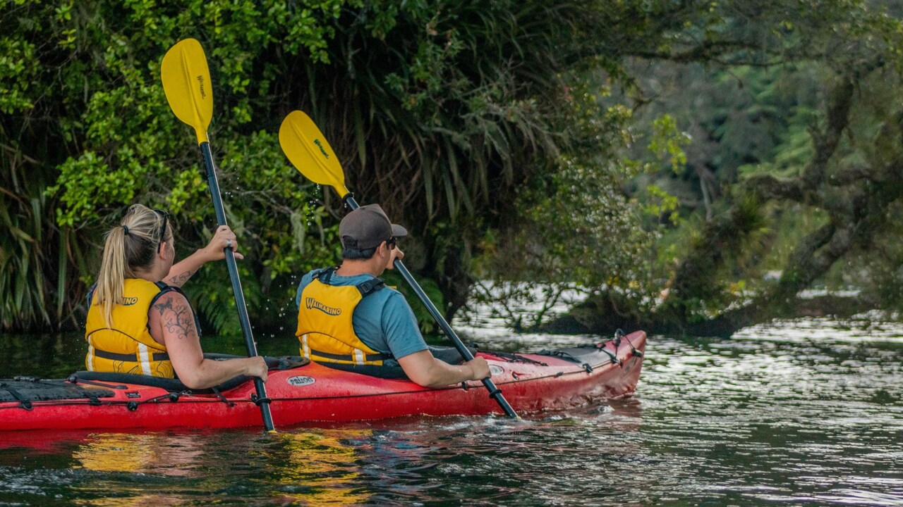 Lake Rotoiti Kayak Tour: Glowworm Caves & Hot Pools | Disney Cruise Line