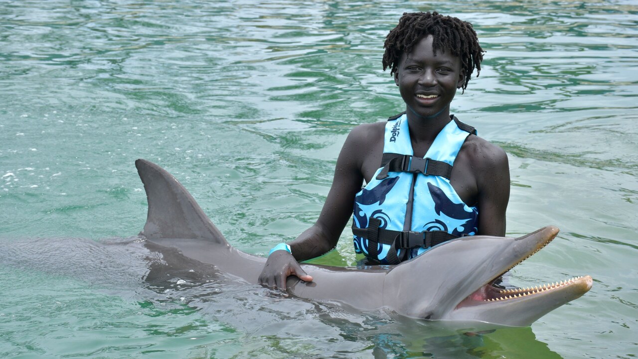 Grand Cayman Dolphin and Stingray Encounter | Disney Cruise Line