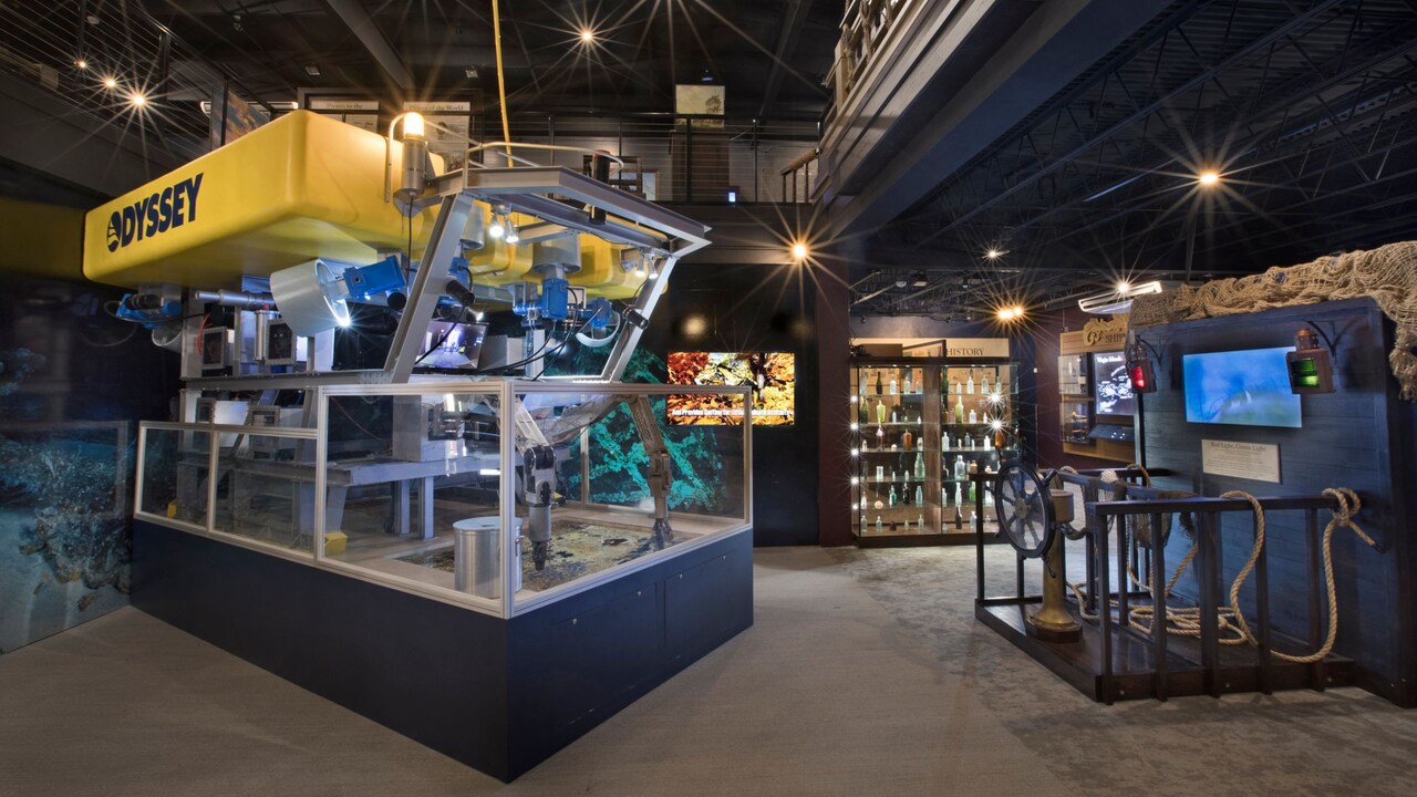 Visit the Pirates Treasure Museum | Port Adventures | Disney Cruise Line