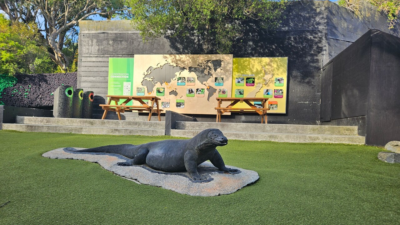 Visit Wellington Zoo & Space Place | Port Adventures | Disney Cruise Line