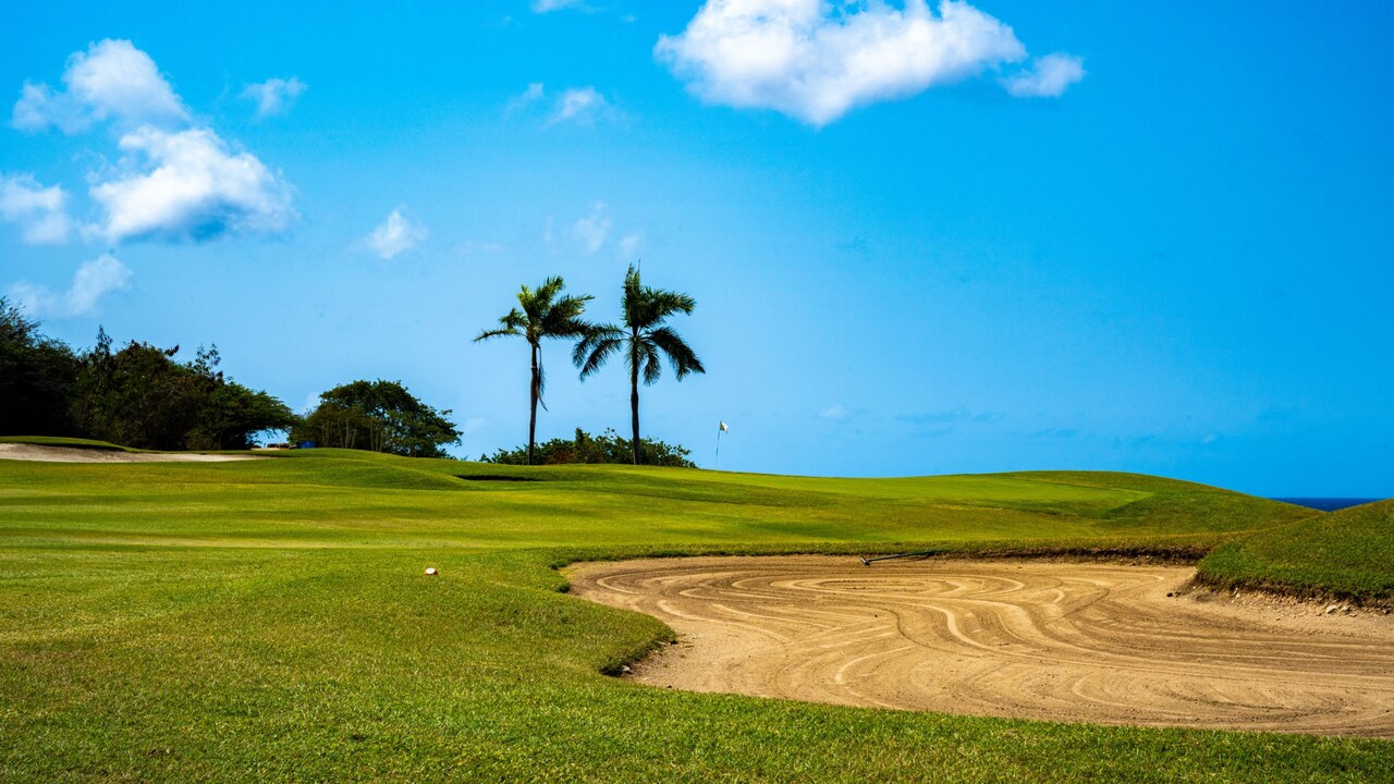 Golf at Blue Bay Golf & Beach Resort | Port Adventures | Disney Cruise Line