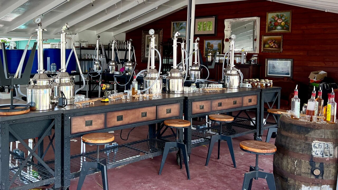 Antiguan Rum-Making Class | Port Adventures | Disney Cruise Line