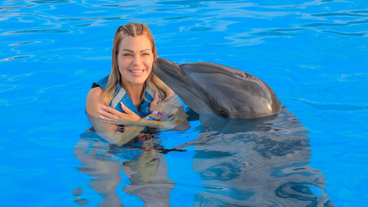 Cabo San Lucas Dolphin Swim | Disney Cruise Line