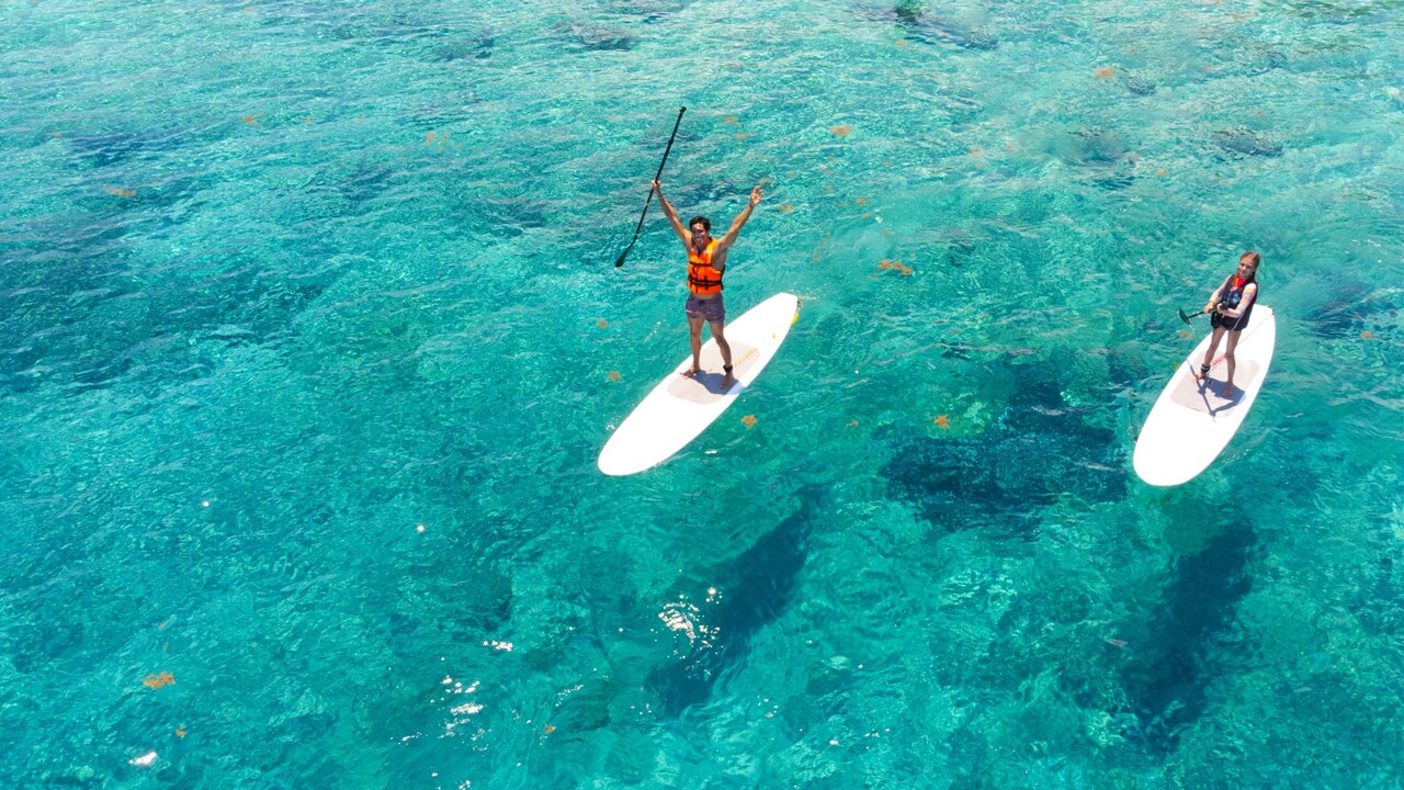 Cozumel Paddle Boarding Excursion | Port Adventures | Disney Cruise Line