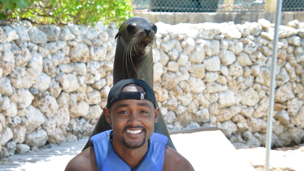 Blue Lagoon Island Sea Lion Encounter | Disney Cruise Line
