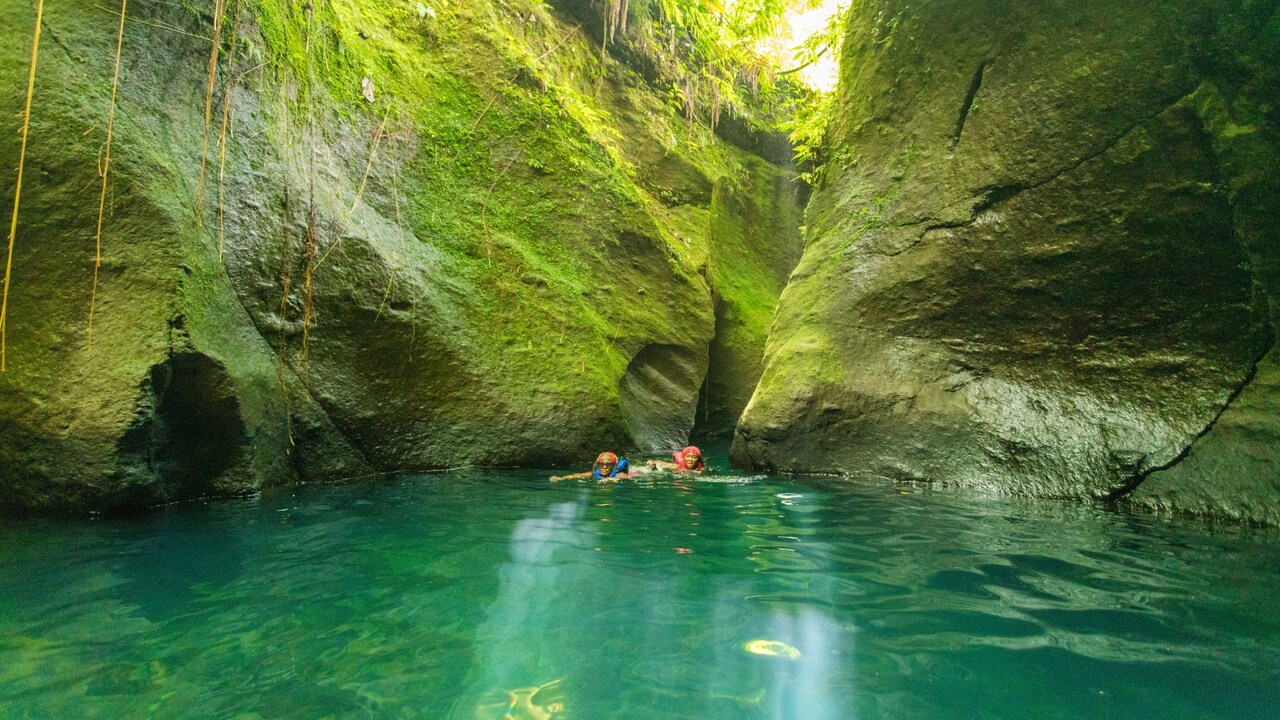 Roseau Waterfall, Lake, and Hot Spring Tour | Port Adventures | Disney ...