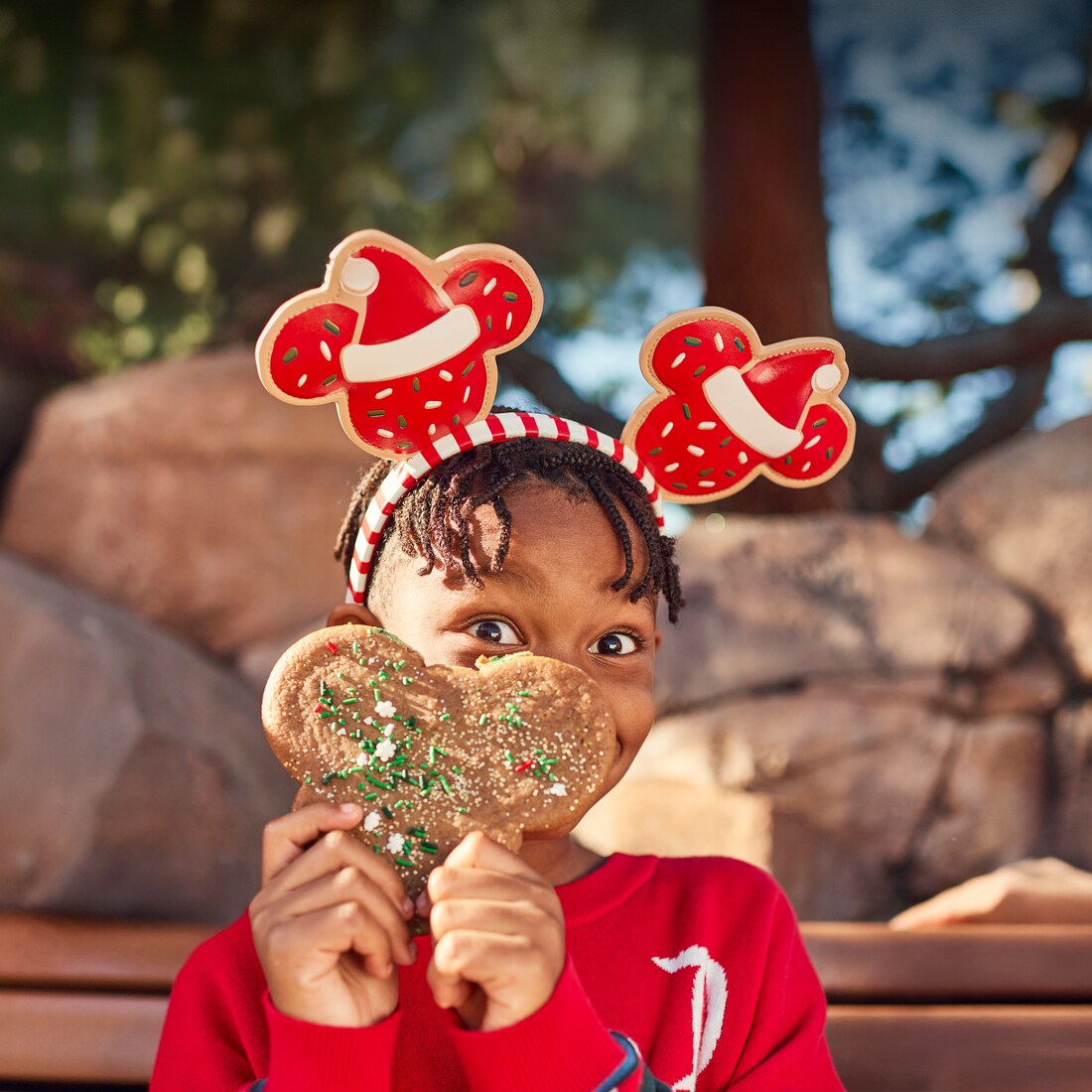 Disneyland Resort in Anaheim, California – Official Site