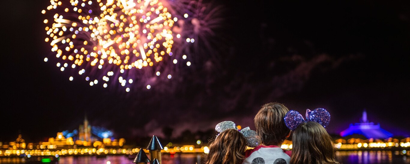 Firework Cruises | Walt Disney World Resort